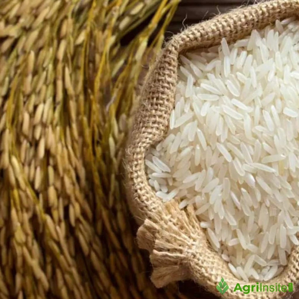 Japan’s rice prices fall for first time in 3.5 years - AgriInsite