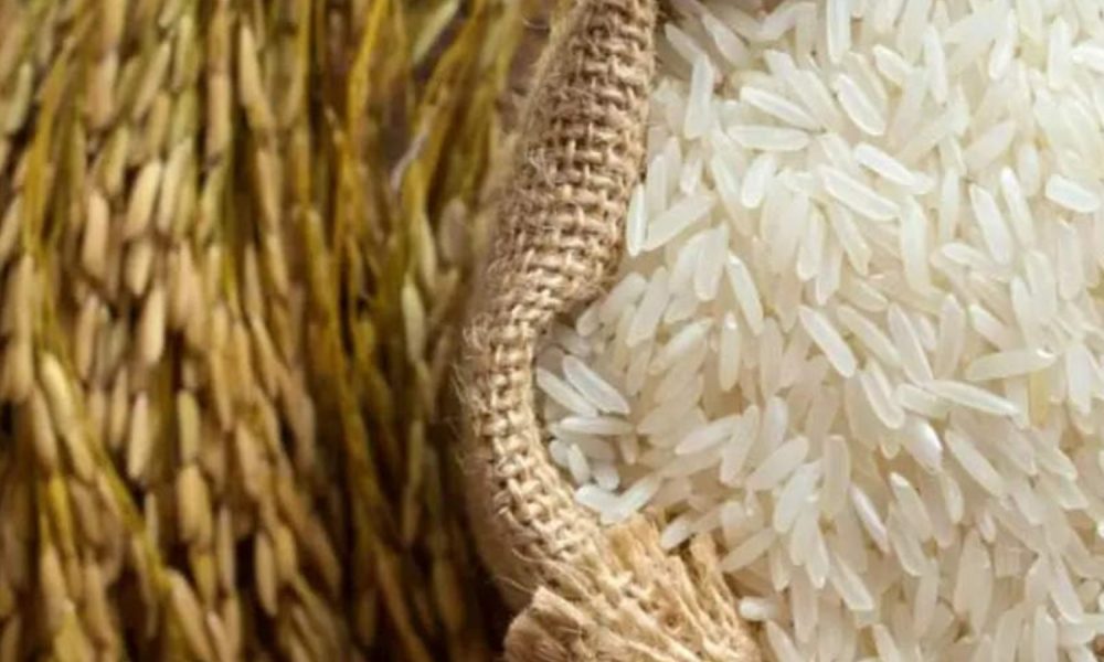 Japan eyes boosting rice exports eightfold by 2030 - AgriInsite