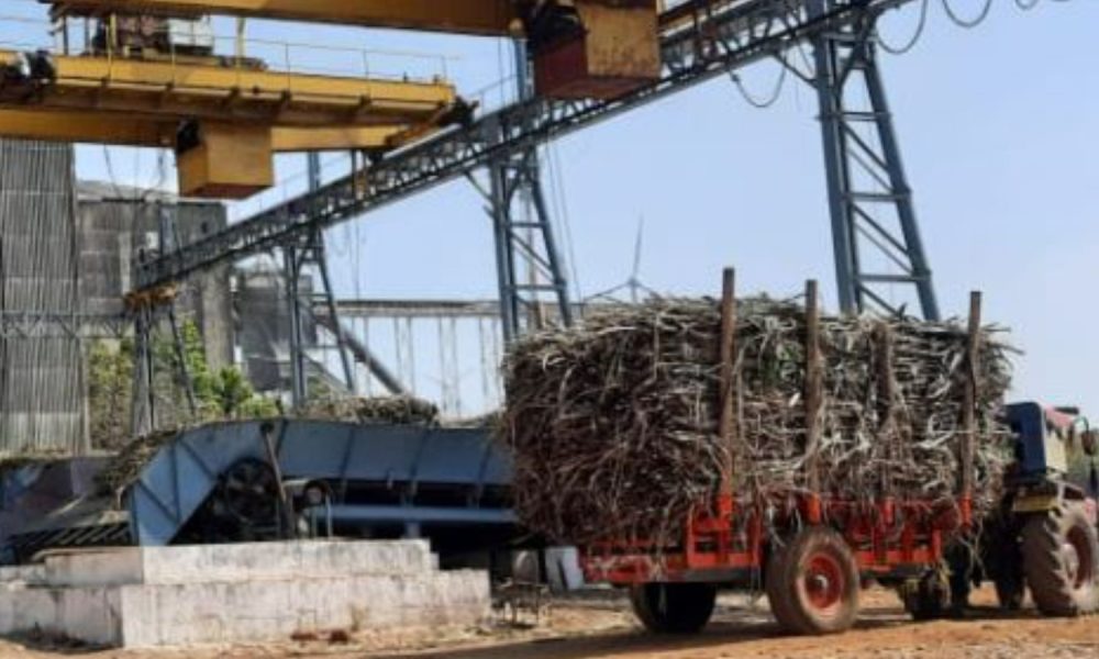 Sugar crisis in Cuba: Only 15 mills will operate in the next harvest ...