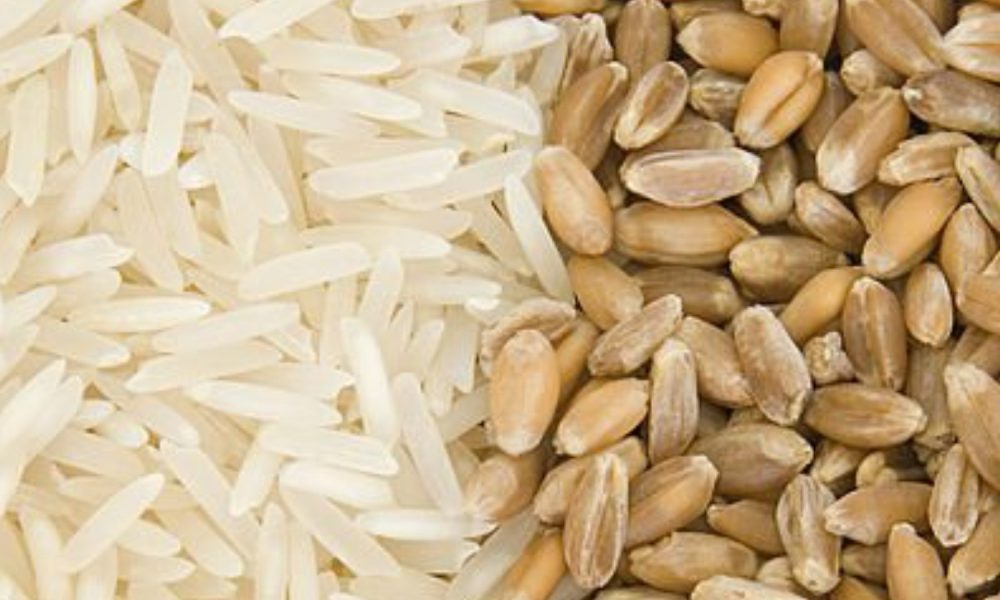 Multiple benefits of cultivating wheat in rice residue retained fields ...