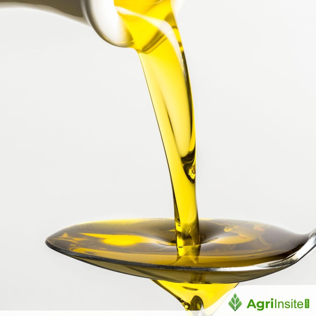 Research houses see firmer Malaysian palm oil prices on El Nino risks ...