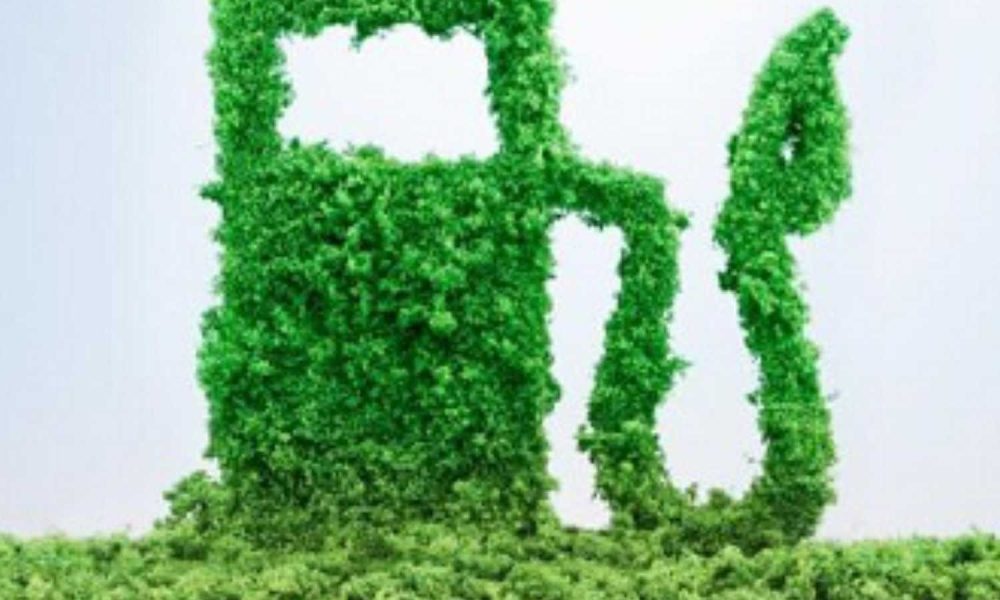 India achieved ethanol blending of 19.2% during ESY 2024-25 - AgriInsite