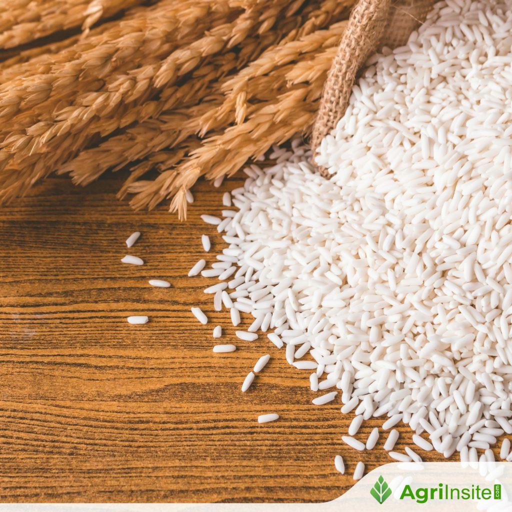 Parboiled Rice Processing Plant Project Report- Required Materials and ...