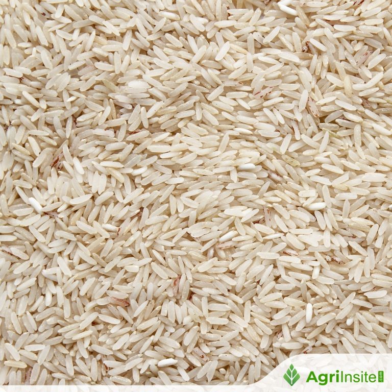 Kenya Govt says Mwea farmers harvested 160K metric tonnes of rice in ...