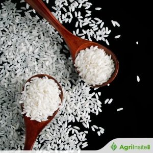 Vietnam to export first batch of low-emission rice - AgriInsite