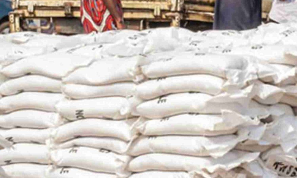 India's Rice Exports Surge Nearly 86% In October - AgriInsite