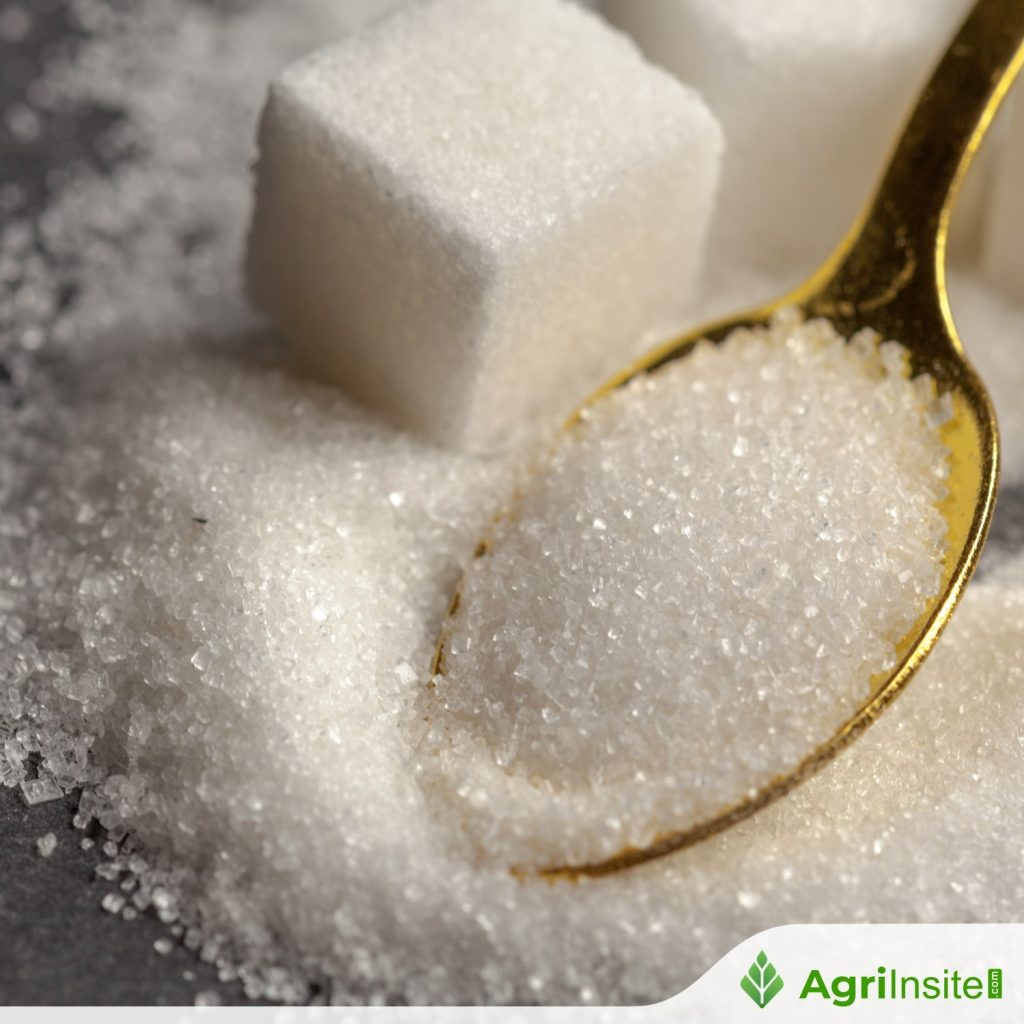 Sugar output to rebound in 2025-26: ISMA - AgriInsite