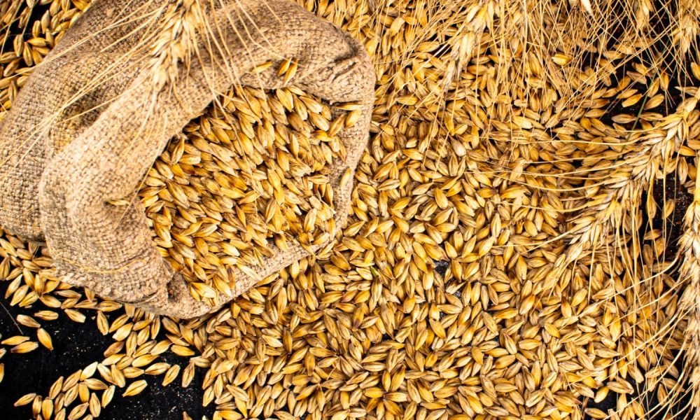 Wheat MSP hike: Farmers block road, want revision - AgriInsite