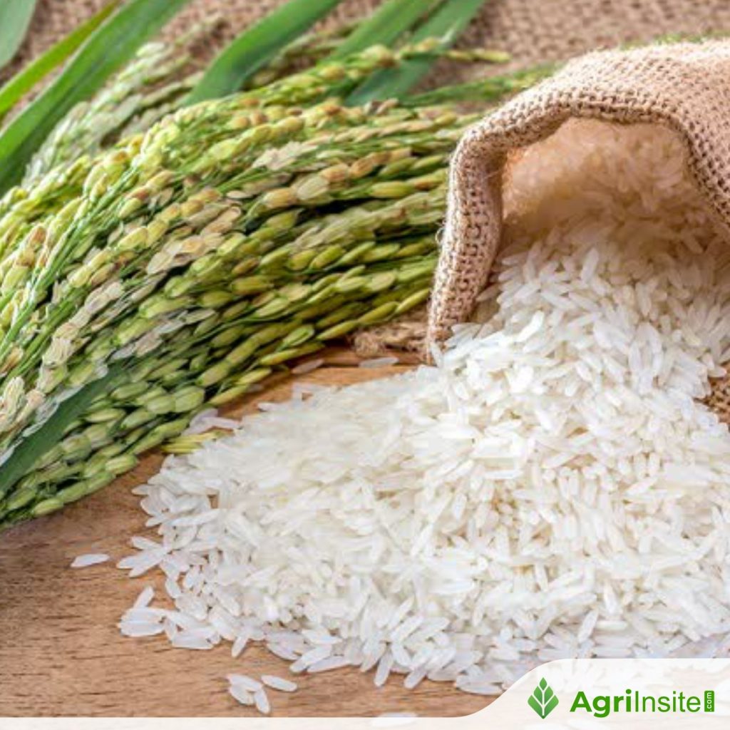 Telangana, Philippines Explore Expansion Of Rice And Paddy Trade ...