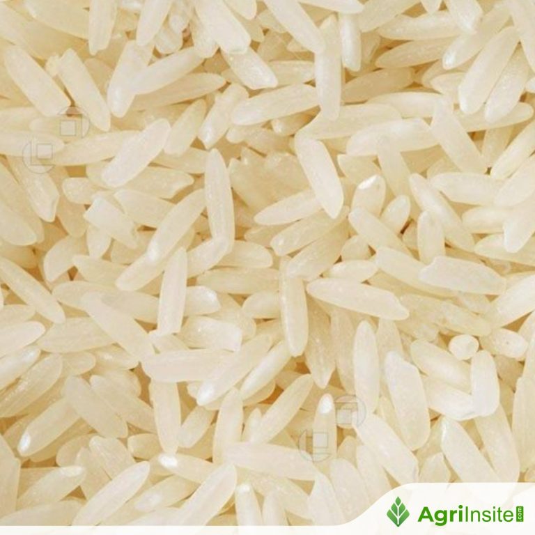 India Partners with World Food Programme to Supply Fortified Rice ...