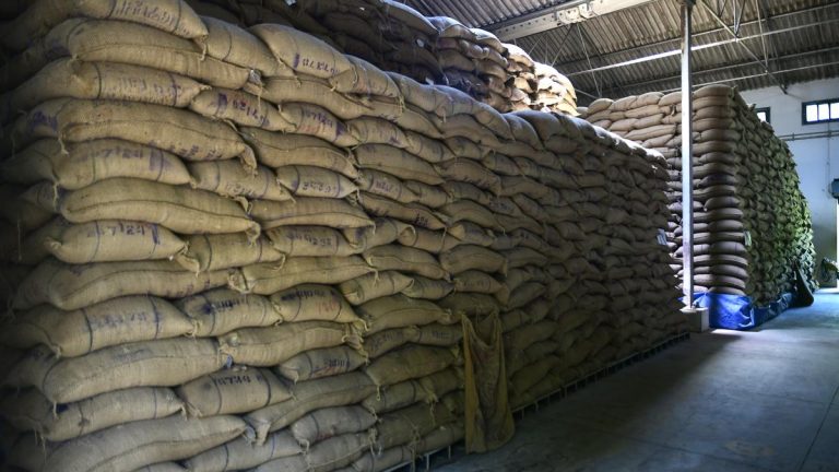 Rice stocks with FCI surge to 10-year high - AgriInsite