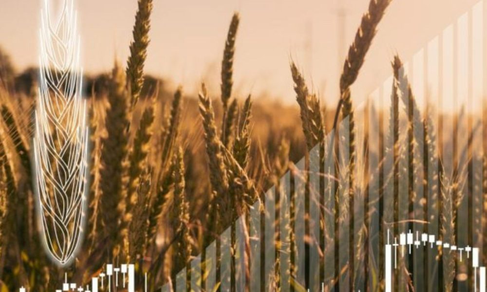 U.S. Wheat Stocks Rise as Global Trade Slows - AgriInsite