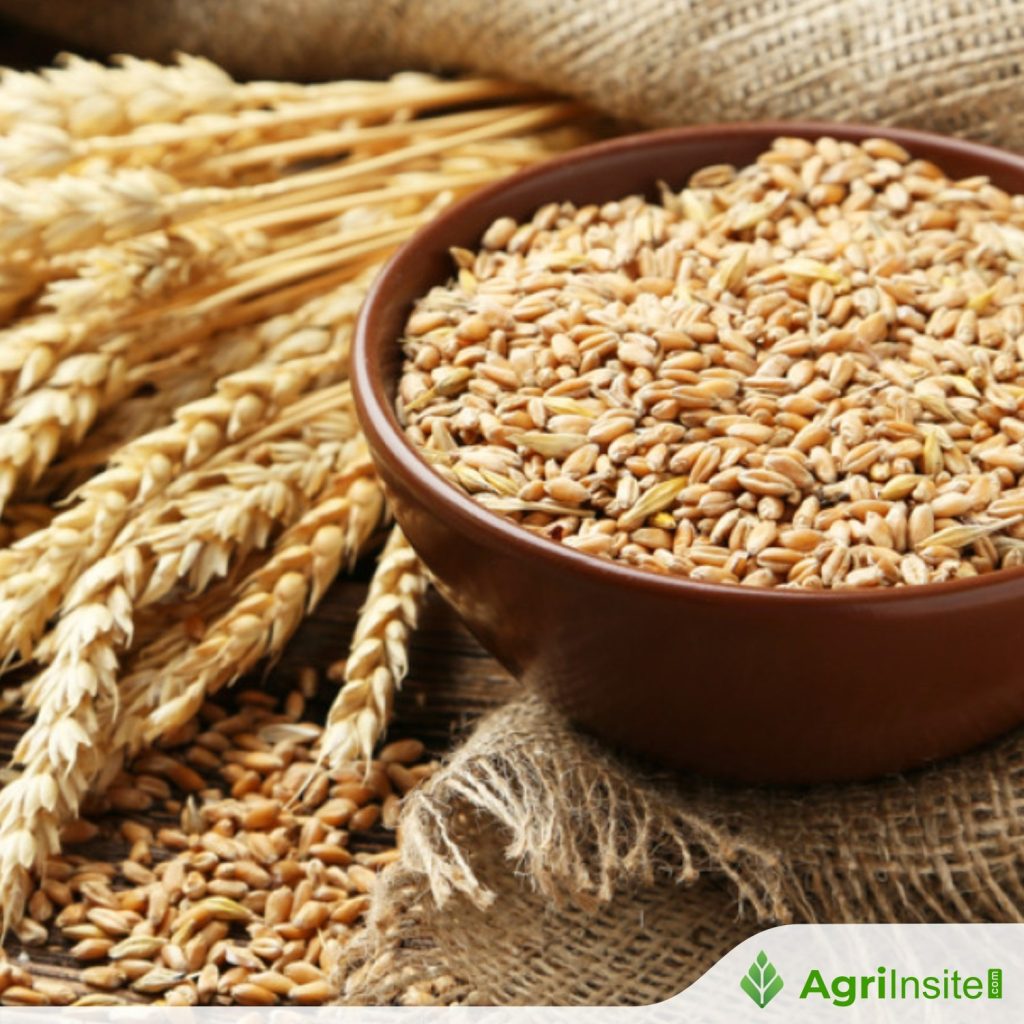 Taiwan flour millers make $1.3 billion commitment to purchase U.S ...