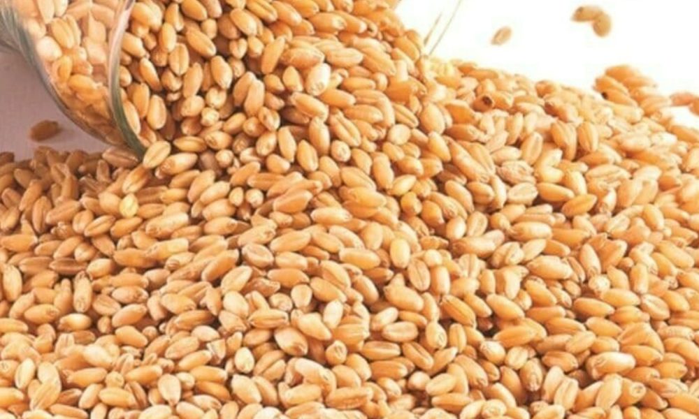 Australian wheat exports fall 38% in November but remain above last ...