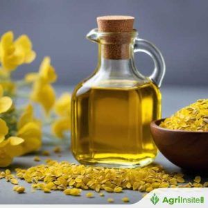 India's edible oil imports dip 3% to 15.96 mn tonnes in 2023-24: SEA ...