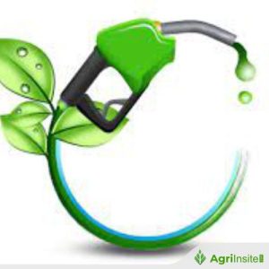 Ethanol boost: Amul achieves success in large-scale trial to produce ...