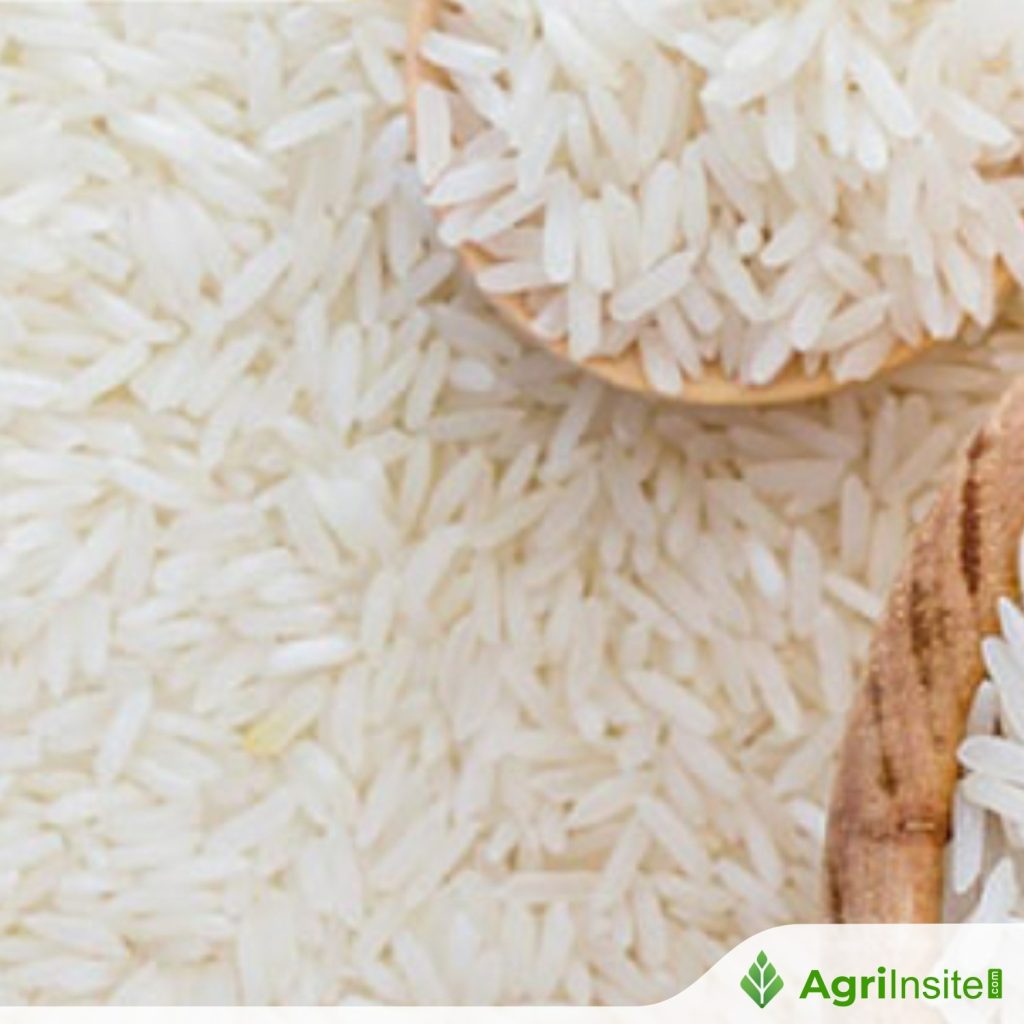 Indonesia : Premium Rice Scarce in Jakarta Minimarkets Following Fake ...