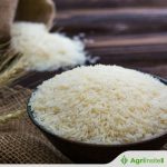 Thai rice faces stiff headwinds as Commerce Ministry sets 2026 export ...