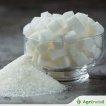 India’s sugar output at risk in 2025-26 as cane acreage slips - AgriInsite