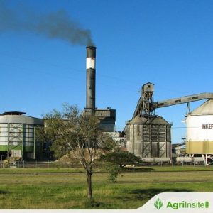 Ukraine : Sugar factories plan to reduce sugar production to 1.5 ...