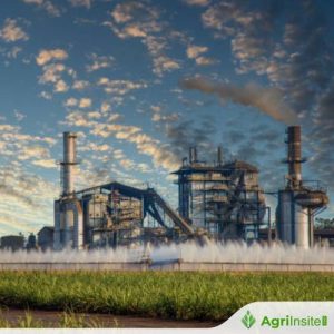 USA : Sucro joint venture to build sugar refinery in Belize - AgriInsite