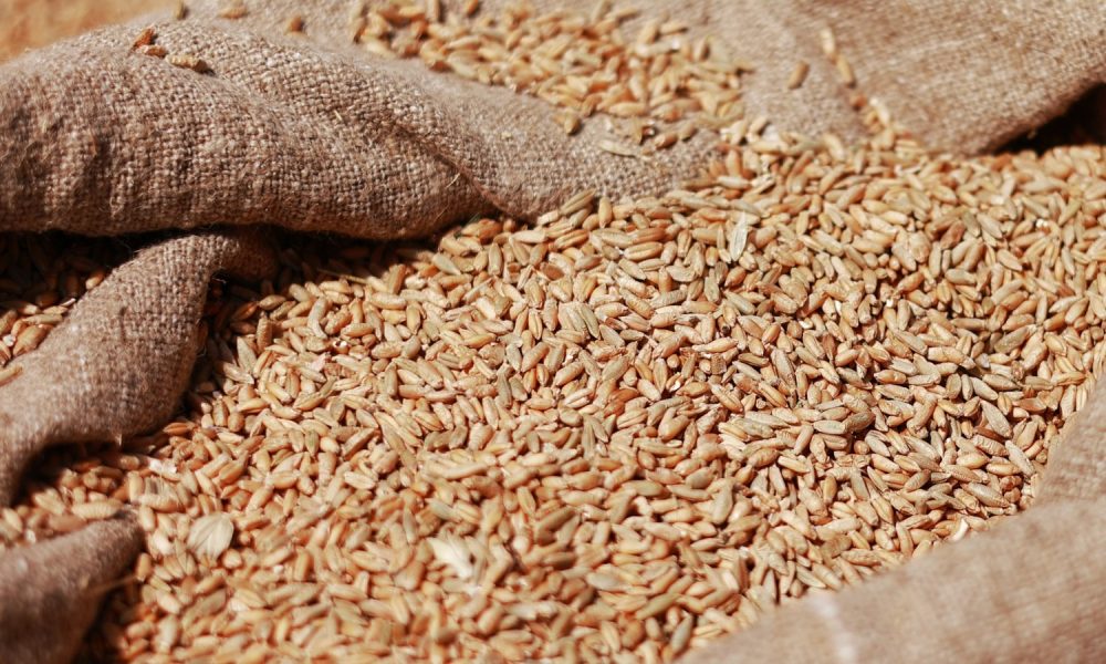 Feed wheat prices in Ukrainian ports have been falling since the ...