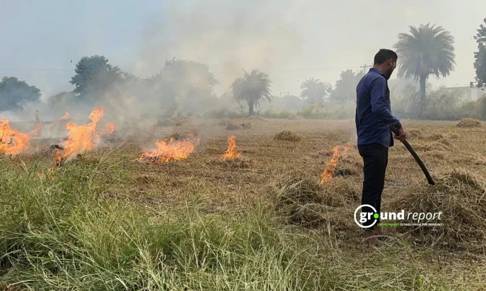 PAU Signs MoU with CII to Curb Stubble Burning in Punjab Using Surface ...