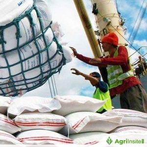 Thailand’s rice exports decline as India re-enters market - AgriInsite
