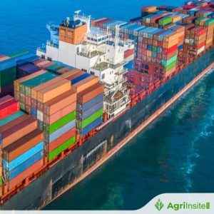 2024 U S Ethanol Exports Set New Record—in Just 11 Months - AgriInsite