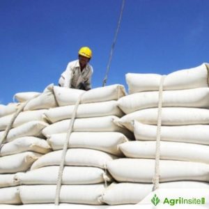 Philippines redefines rice import policy with market-linked tariff ...