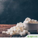 Egypt: Sugar prices rise at retail outlets despite ministry denial ...