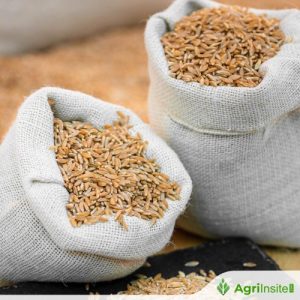 Resumption of e-auction of wheat sales hits millers as price dips ...