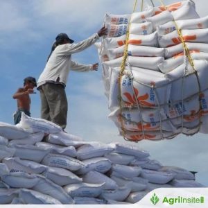 Myanmar : MRF targets to reach 1.8MT of rice export in H2 FY 2025-2026 ...