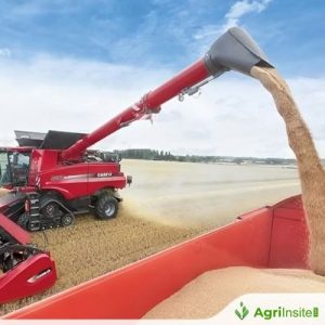 Ukraine has already exported 65% of the authorized volume of wheat for ...