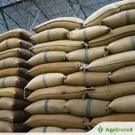 Pakistan : Wheat hoarders face crackdown - AgriInsite