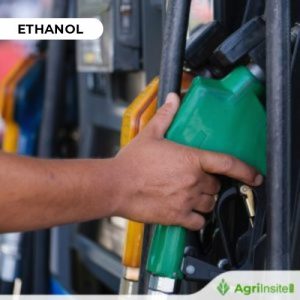 Vietnam rolls out E10 biofuel nationwide - AgriInsite