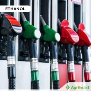 Indonesia to launch E5 ethanol-blended fuel programme in July - AgriInsite