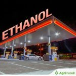 EIA increases forecast for 2026 fuel ethanol production in February ...