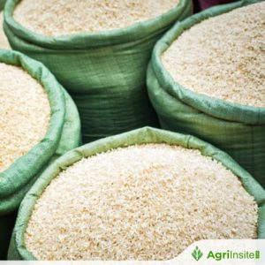Philippines : Rice prices eased in June, but still above last year ...
