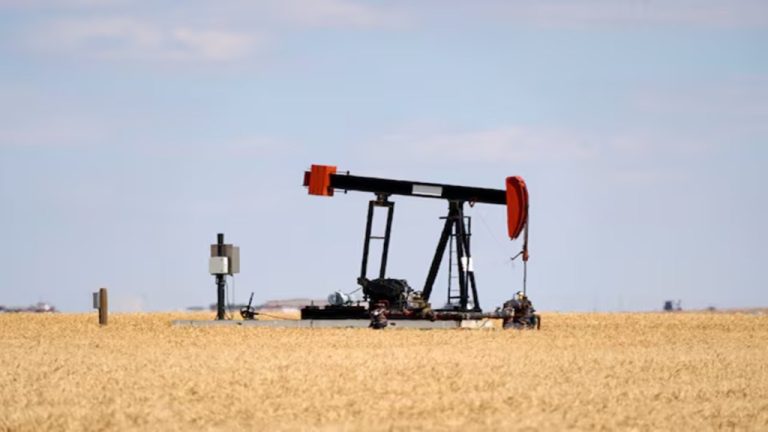Crude import bill up 2.9% in April-February - AgriInsite