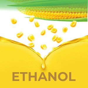 Brazil’s corn ethanol boom drives global sugar prices to four-year low ...
